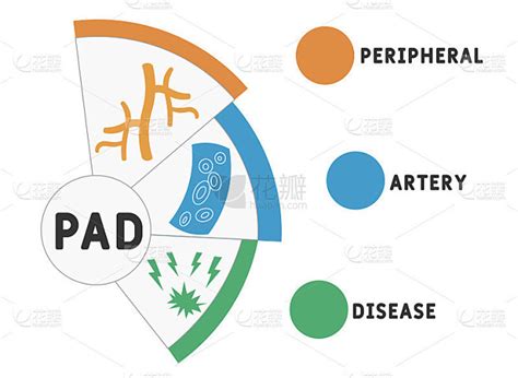 外周动脉疾病。首字母缩写，医学概念背景。