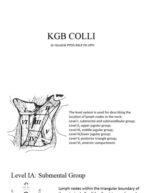 Kgb Colli Pdf Neck Anatomy