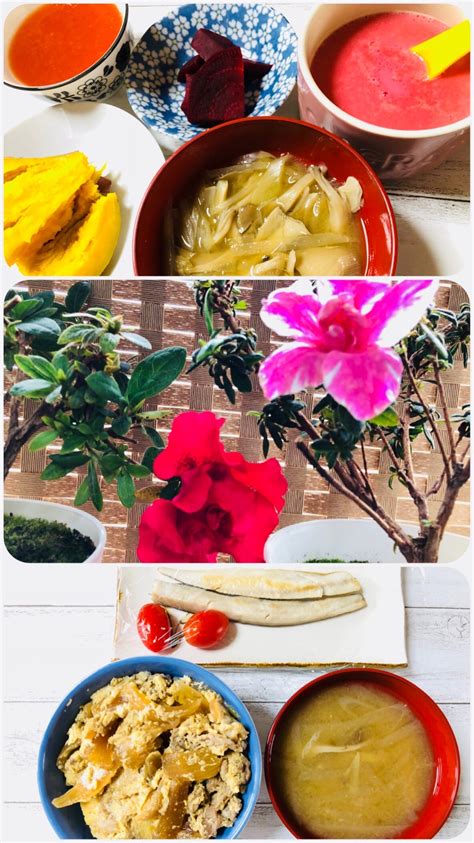 おうちごはん・ヘルシー食材の朝食♬豚丼リメイクで他人丼に♬北菓桜のシュークリーム♬アザレア咲いた 北海道＊農家生活の備忘録