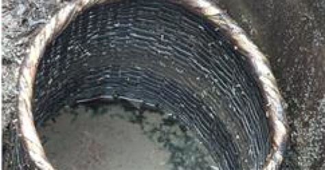 자정결의 무색하게 한 구더기 멸치액젓 제조 유통