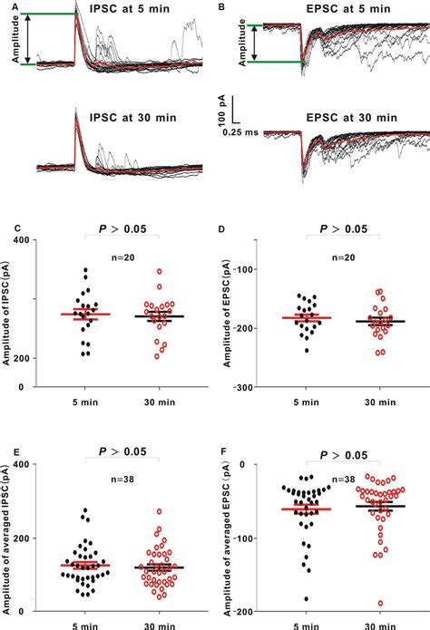 Comparison Between Amplitudes Of Inhibitory Postsynaptic Currents