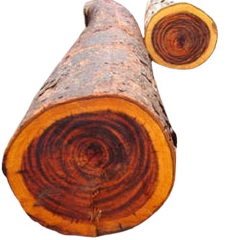 Lightweight First Class Termite Resistant Pine Wood For Furniture