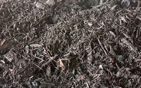 Go Compost™ — Soilco