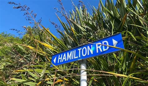 Hamilton Road Overview Of Waiheke Island