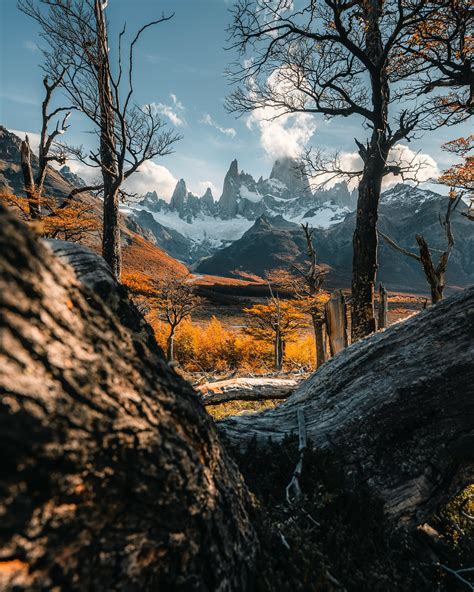 Added A New Photo — At El