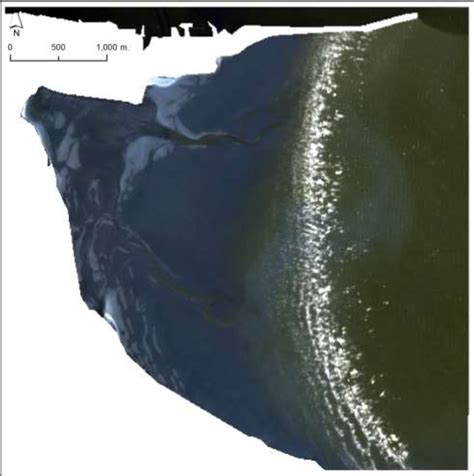 7 Potential Of The Feature Extraction Algorithm For The Evaluation Of Download Scientific