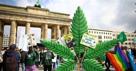 Alemania Legalizó El Consumo De Cannabis Recreativo Infobae