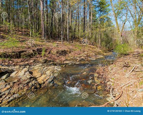 Sunny View Of The Landscape Of Beaver River In Beavers Bend State Park
