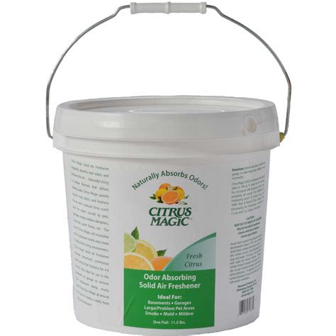 Citrus Magic Odor Absorbing Solid Air Freshener Fresh Citrus 11 5 Pound