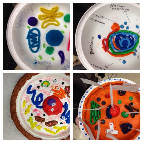 3rd Grade Science Cells