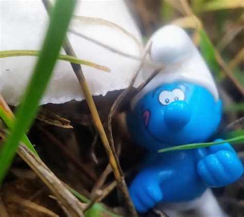 Mushrooms And Smurfs Adventures
