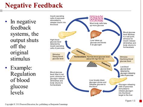 The Human Body An Orientation Ppt Download
