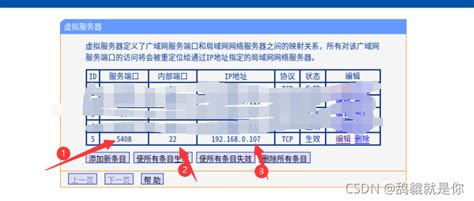 windows公网ssh vnc连接局域网内linux服务器 vnc公网访问 csdn博客