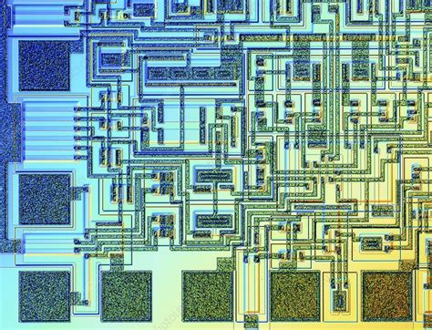 Microchip Light Micrograph Stock Image C Science Photo Library
