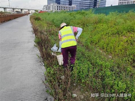 白沙村，2023年7月21日，人居环境整治工作简报 知乎