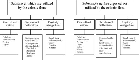 1 Proposed Classification For Dietary Fiber Ha Et Al 2000
