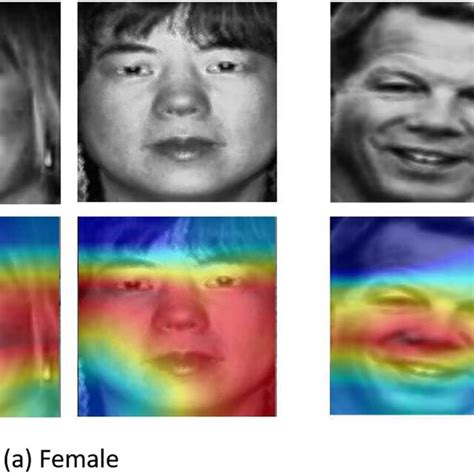 grad cam visualization of different gender classes download