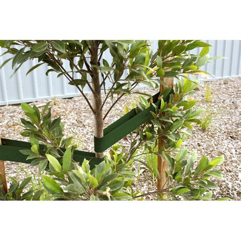 Plant Ties Hd Green Tree Webbing