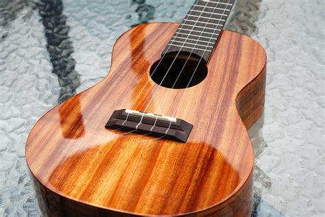 Tudo Sobre Ukulele