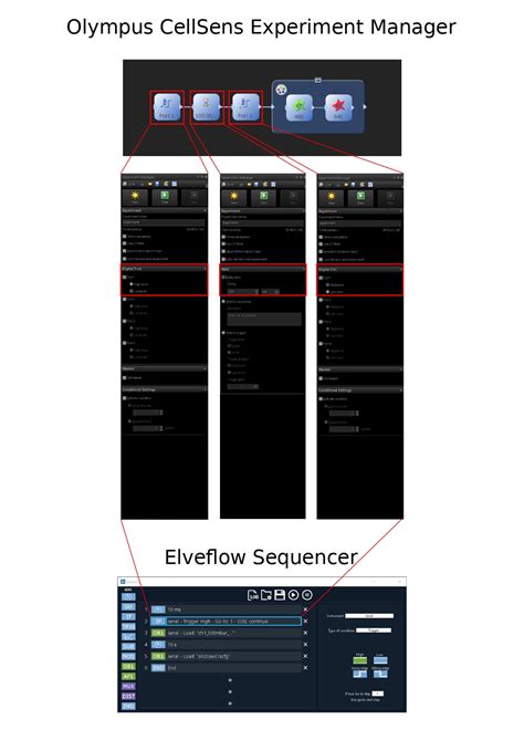 How Do You Synchronize A Microscope With A Microfluidic Perfusion System