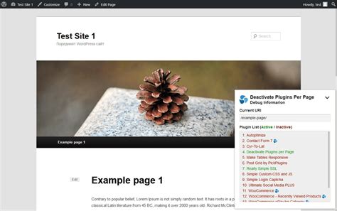 Deactivate Plugins Per Page Improve WordPress Performance By Nikolaydev