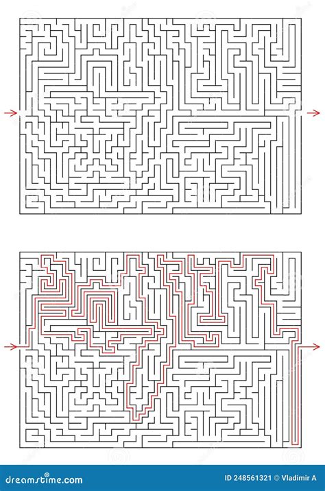 Big Vector Rectangular Labyrinth With Entry And Exit Difficulty Level