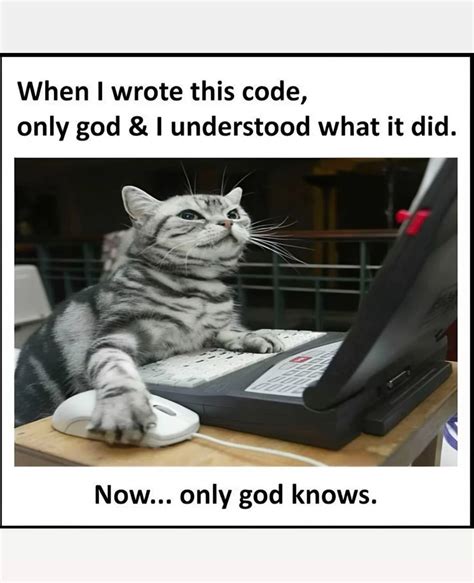Coding Diya Like Comment And Share With Everyone😂 Techmemes Memes Tech Technology