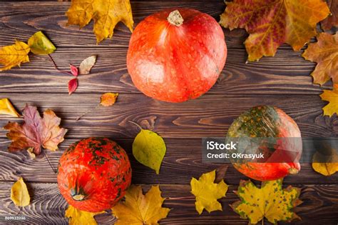 상위 뷰 홋카이도 호박 색깔 및 어두운 나무 테이블의 단풍 채식 채식 건강 한 다이어트 식품 수확 또는 추수 감사절 배경 개념 선택적 초점입니다 텍스트를 위한 공간 0명에