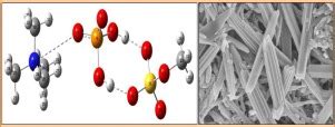International Journal Of Biological