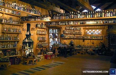 Tour Du Lịch Nga 10 Ngày 9 đêm Giá Rẻ Hấp Dẫn Vietnambooking