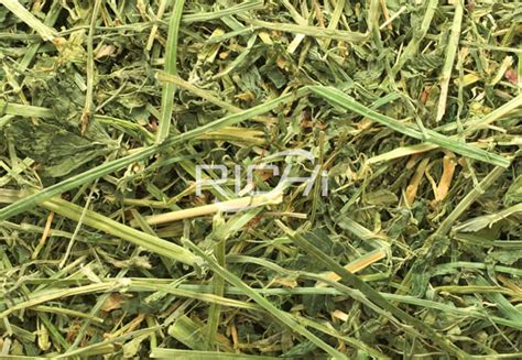 Biomass Alfalfa Grass Pellet Mill For 5 Ton Per Hour Customized Biomass Grass Pellet Production