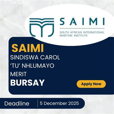 Pps Bursary 2025 Online Application And Complete Guide