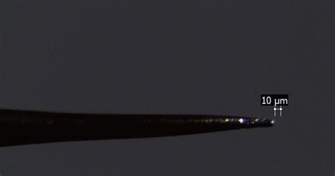 Microtool Used For The Process Download Scientific Diagram