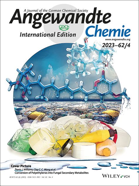 Engineering Heterogeneous Catalysis With Strong Metalsupport