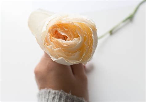 How To Make A Crepe Paper Cabbage Rose