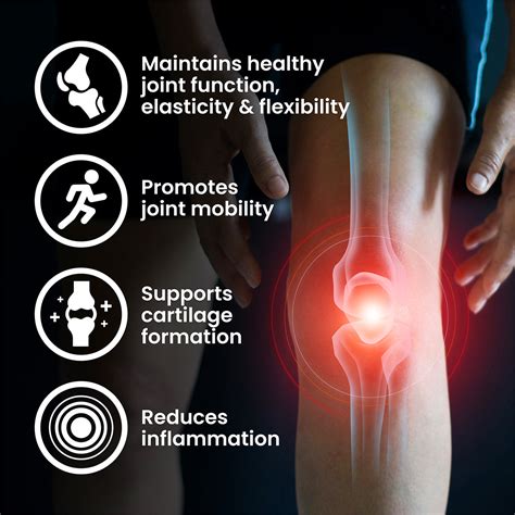 Vplab Glucosamine Chondroitin MSM | Joint Support | Vplab Nutrition ...