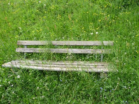Free Images Table Grass Bench Lawn Seat Overgrown Alpine Furniture Bank Flower Meadow