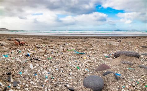 Fighting Microplastics One Beach At A Time With Deakin Inside Water