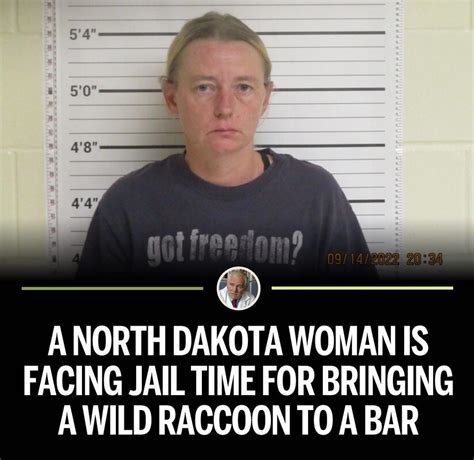 3114 Best R Trashpandas Images On Pholder Raccoon Albino