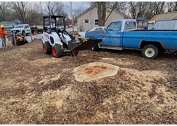 Best Tree Services In Springfield MO Expert Recommendations
