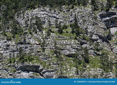 Beds Of Triassic Limestone At The Steinerne Platte Area In Austria