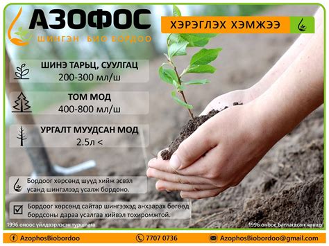 А Ижилцэцэг А Ижилцэцэг Added A New Photo