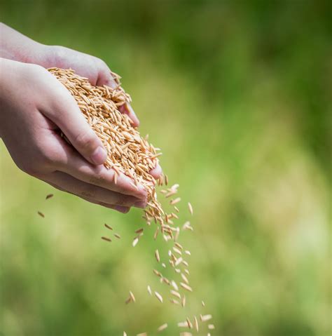 Simavi Company Limited Localeplace