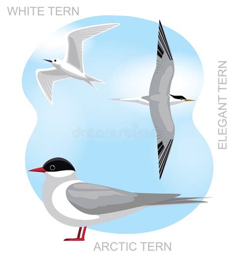 Bird Acrtic Tern Cartoon Cute Seamless Wallpaper Background Stock