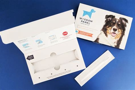 Wisdom Panel Canine Dna Test Review Good But Not The Best