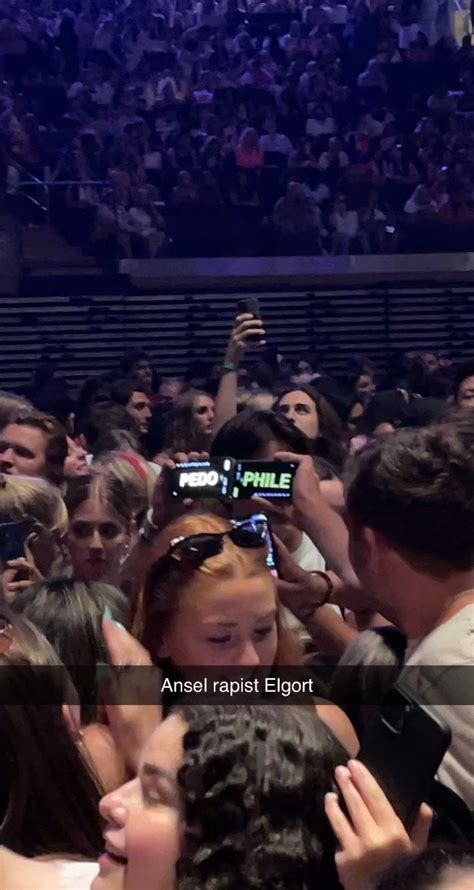 Ansel Elgort With 18 Year Old At Harry Styles Concert Rfauxmoi