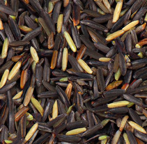 Premium AI Image Image Of Close Up Of Multiple Grains Of Wild Rice