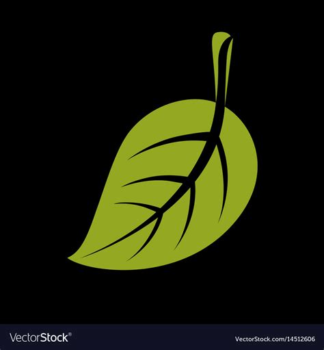 Single Flat Green Leaf Herbal And Botany Art Vector Image