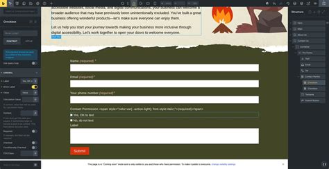 Pro Form Checkbox Fieldset Styling Feature Requests Bricksforge