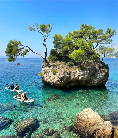 Renata S Posted On Linkedin